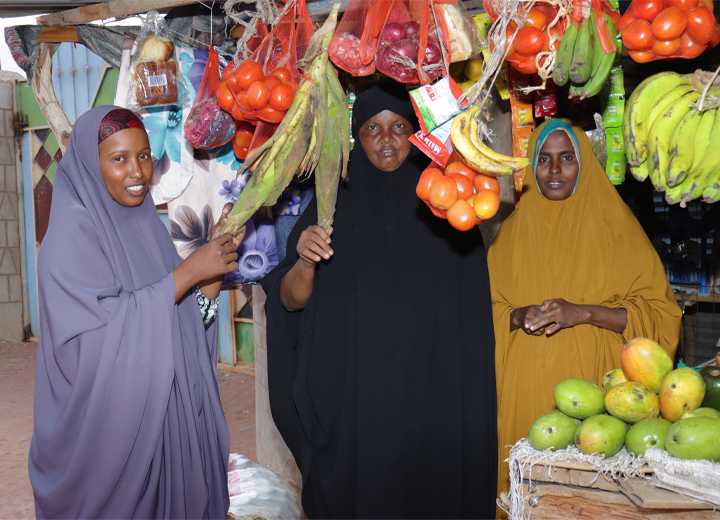 Designing and Delivering Government-Led Graduation Programs for People ...